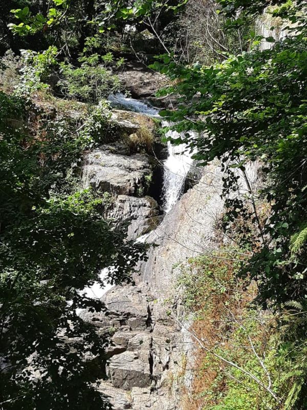 Ecrire un commentaire cancel reply