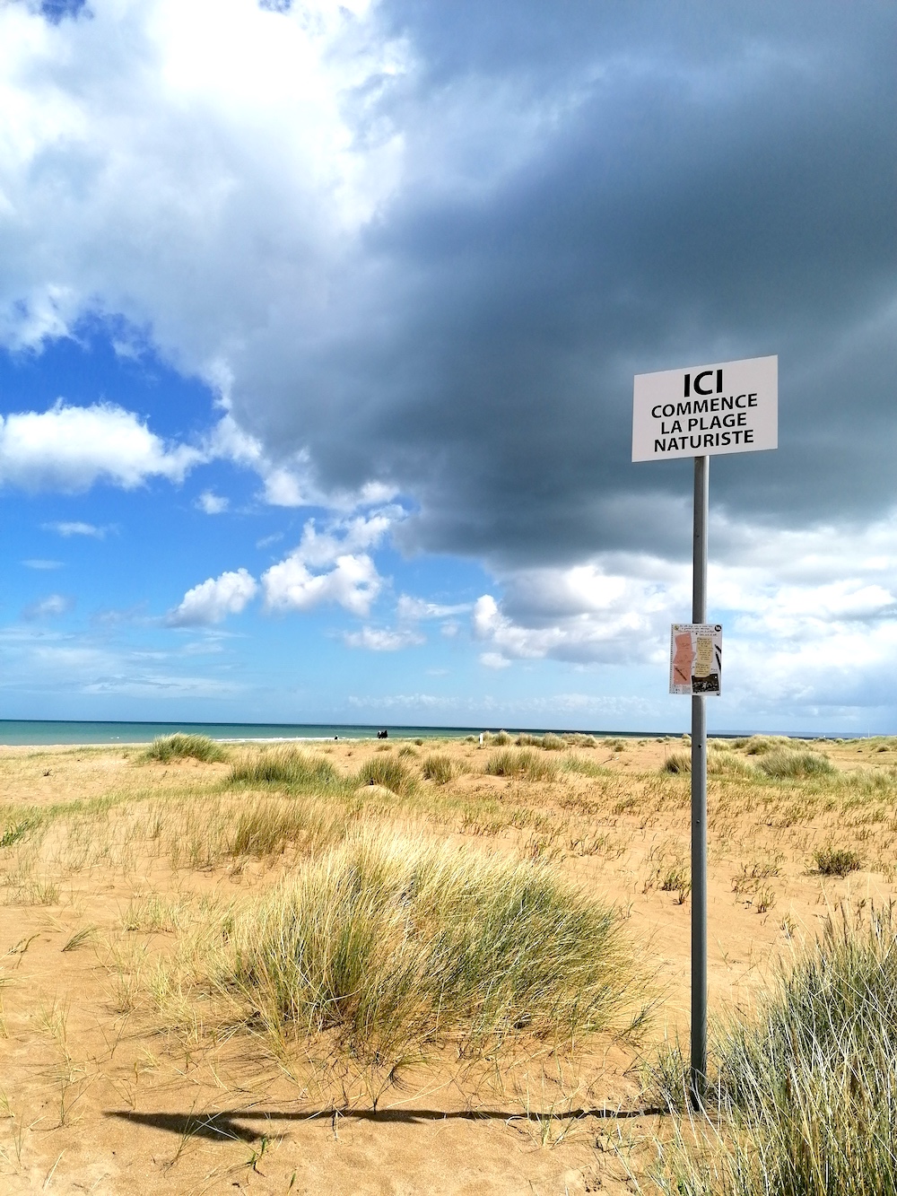 1. Observer les oiseaux dans la baie de l’Orne
