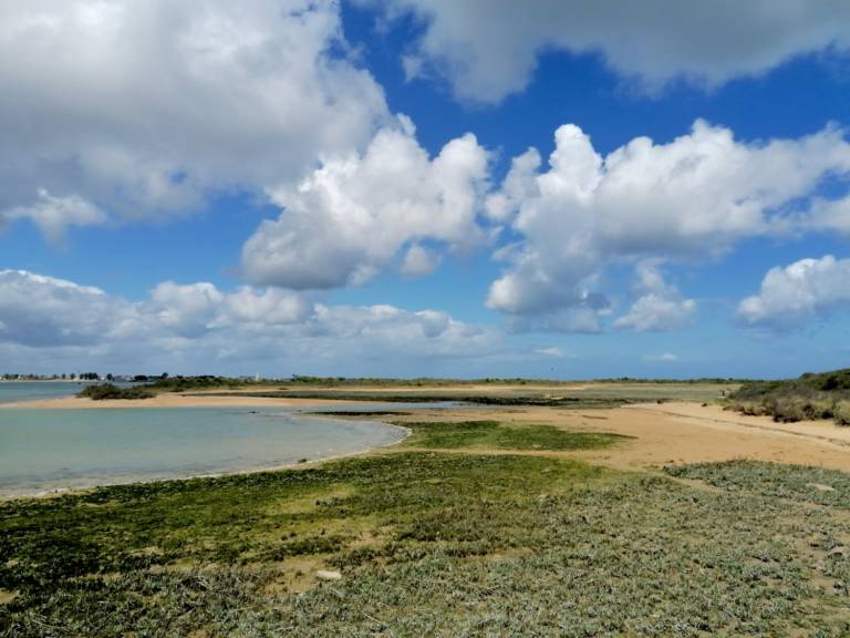1. Observer les oiseaux dans la baie de l’Orne